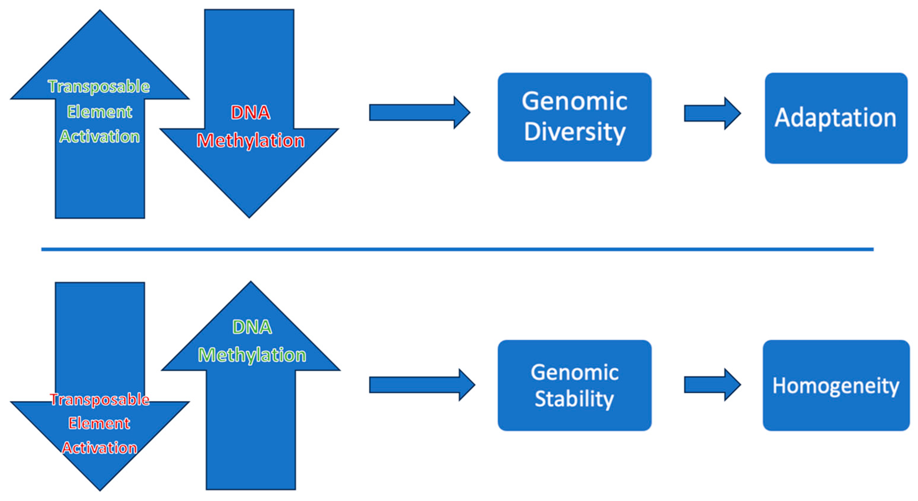 Tools and Techniques to Accelerate Crop Breeding
