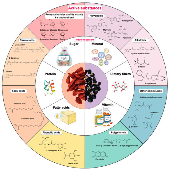 The Medicinal Species of the Lycium Genus (Goji Berries) in East Asia ...