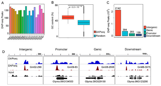 Identification of the New GmJAG1 Transcription Factor Binding Motifs Using DAP-Seq