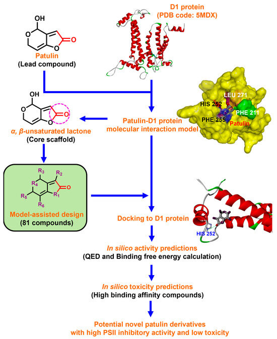 Structure-Based Design, Virtual Screening, and Discovery of Novel ...