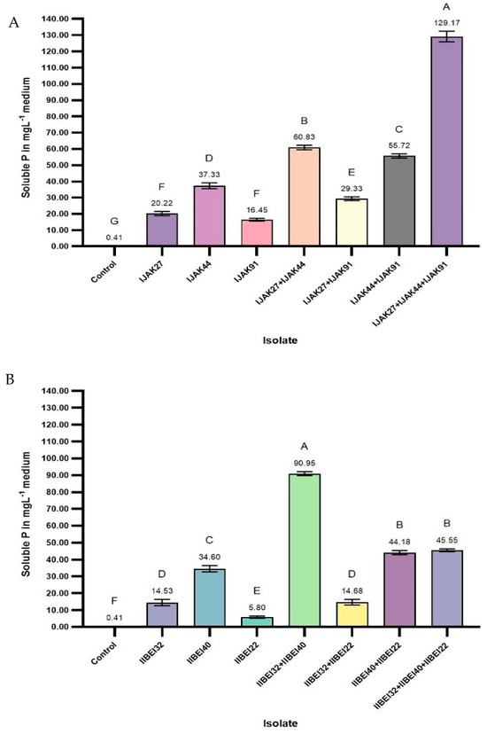 Plants | Free Full-Text | The Co-Inoculation Effect on Triticum ...