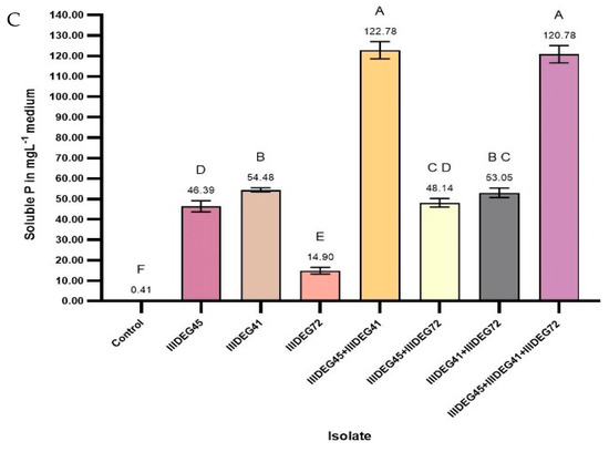 Plants | Free Full-Text | The Co-Inoculation Effect on Triticum ...