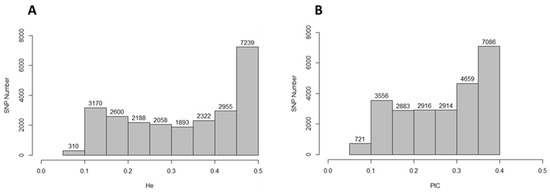 Genetic Diversity and Population Structure of a Large USDA Sesame ...