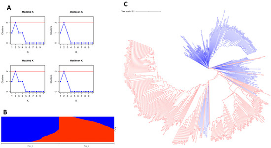 Genetic Diversity and Population Structure of a Large USDA Sesame ...