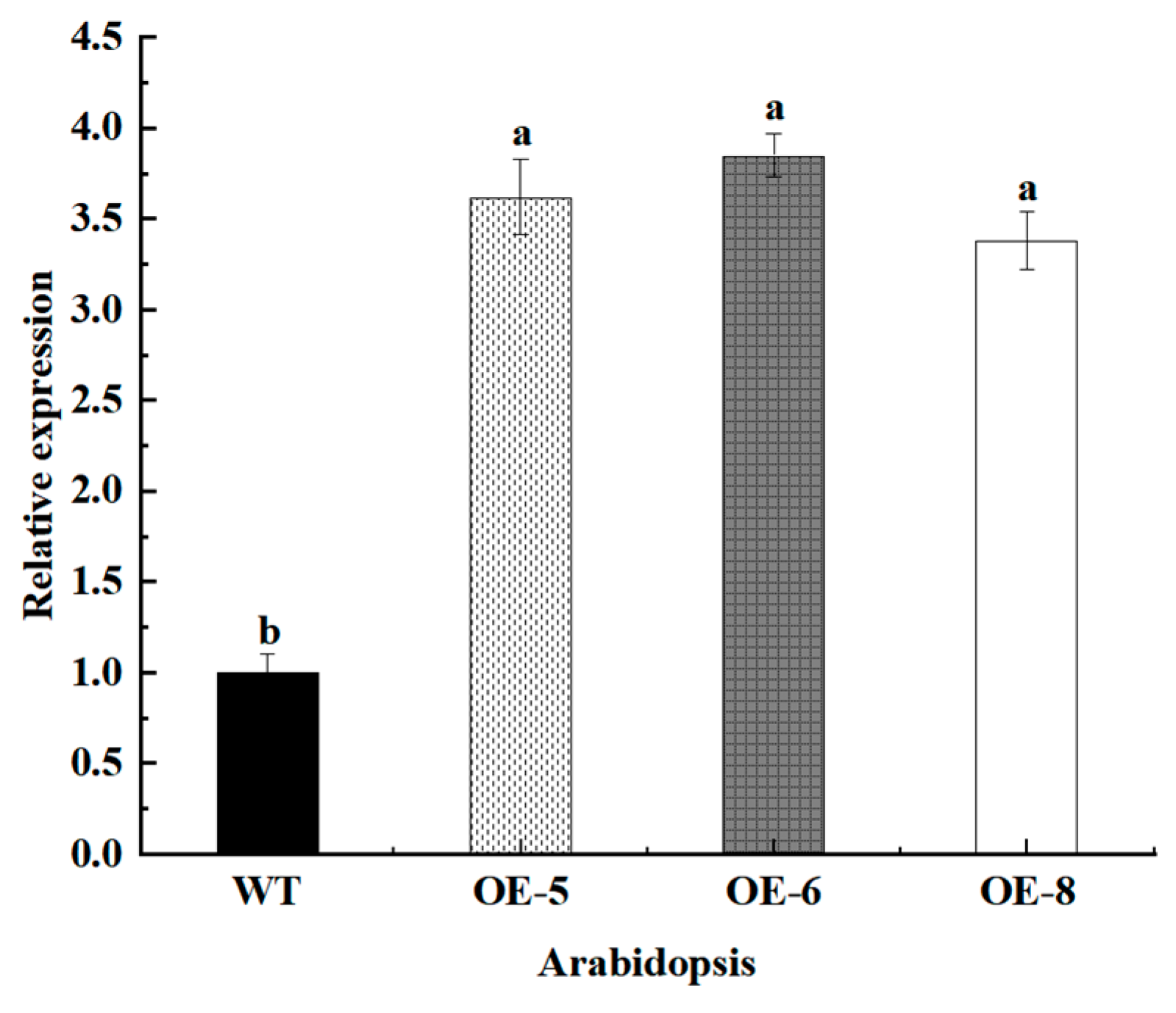 Functional Identification of Malus halliana MhbZIP23 Gene Demonstrates ...