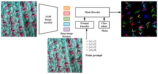 Research on Segmentation Method of Maize Seedling Plant Instances Based on UAV Multispectral ...