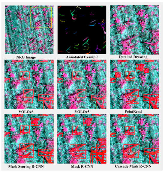 Research on Segmentation Method of Maize Seedling Plant Instances Based ...