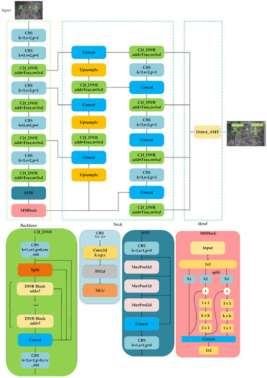 Improvement of the YOLOv8 Model in the Optimization of the Weed ...