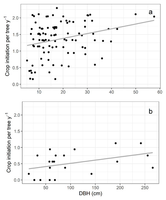 Contrasting Phenological Patterns and Reproductive Strategies in ...