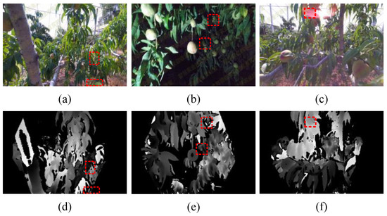 CRLNet: A Multimodal Peach Detection Network Based on Cooperative ...