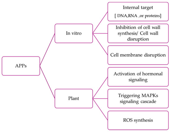 The Dual Role of Antimicrobial Proteins and Peptides: Exploring Their ...