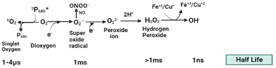 Functionality of Reactive Oxygen Species (ROS) in Plants: Toxicity and ...
