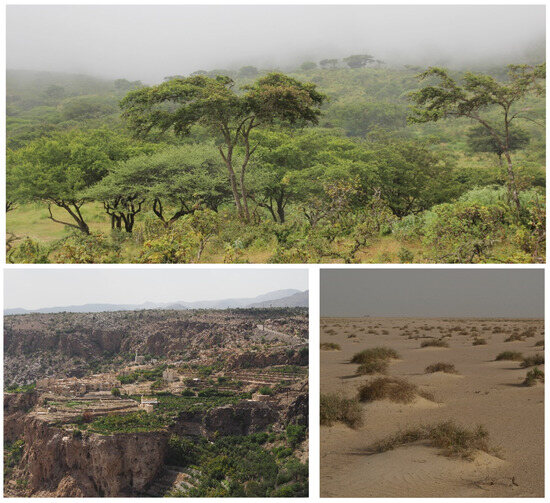 Biogeography and Conservation in the Arabian Peninsula: A Present ...