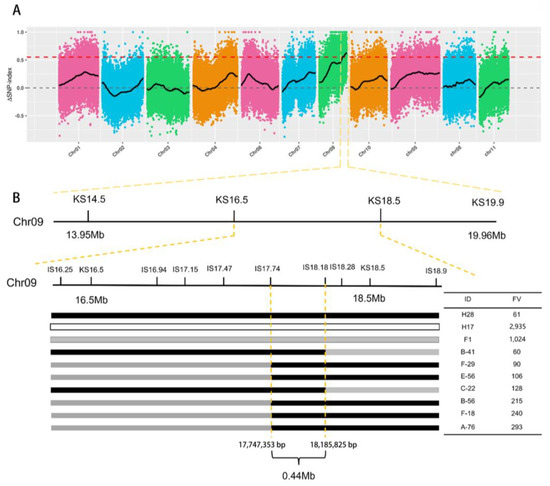 Combined BSA-Seq and RNA-Seq to Identify Potential Genes Regulating Fruit Size in Bottle Gourd ...
