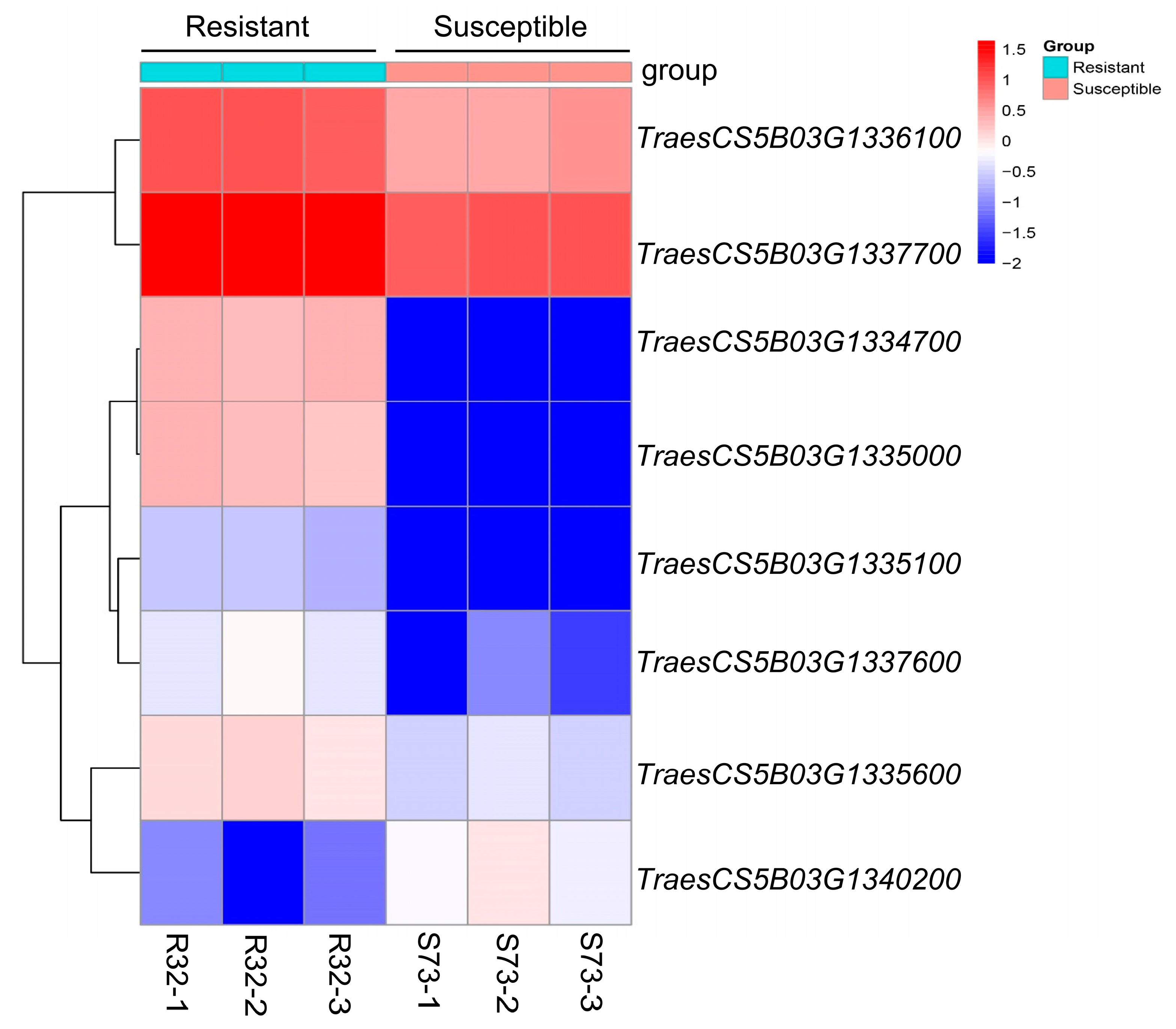 Mapping and Candidate Gene Analysis of an All-Stage Stem Rust ...