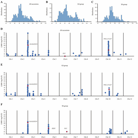 Improving Rice Quality by Regulating the Heading Dates of Rice ...