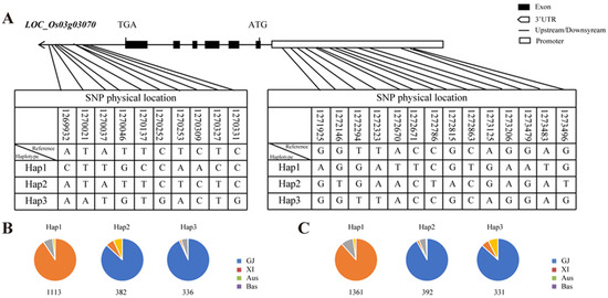 Improving Rice Quality by Regulating the Heading Dates of Rice ...