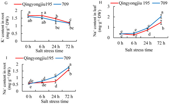 Plants | Free Full-Text | Comparative Physiological and Transcriptomic Analyses of Oat (Avena ...