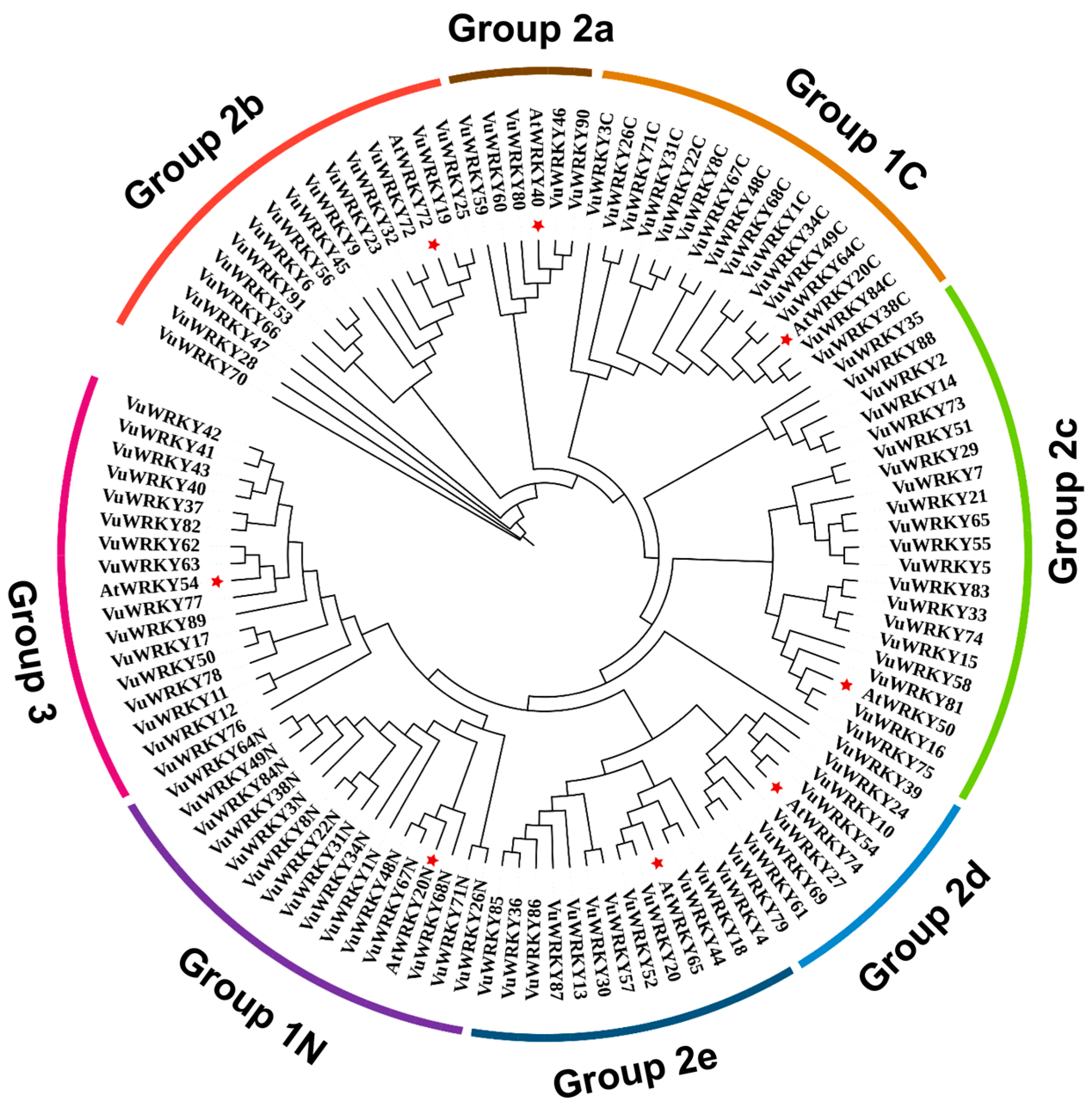 Plants | Free Full-Text | Identification and Analysis of WRKY ...