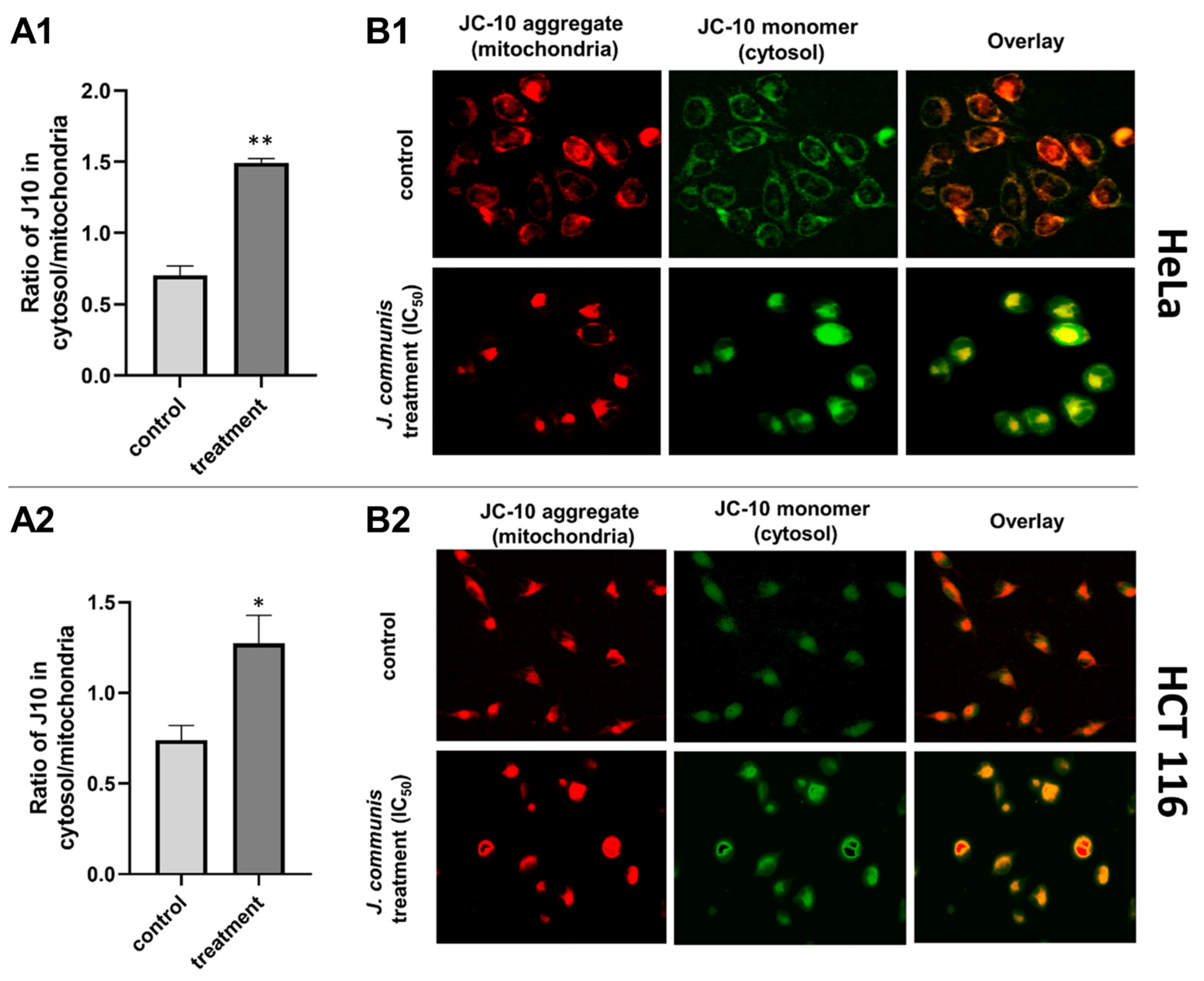 Plants | Free Full-Text | Insights into Molecular Mechanisms of Anticancer Activity of Juniperus ...