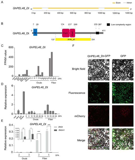 Plants | Free Full-Text | Cotton Pectate Lyase GhPEL48_Dt Promotes ...