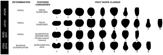 Machine Learning-Based Tomato Fruit Shape Classification System