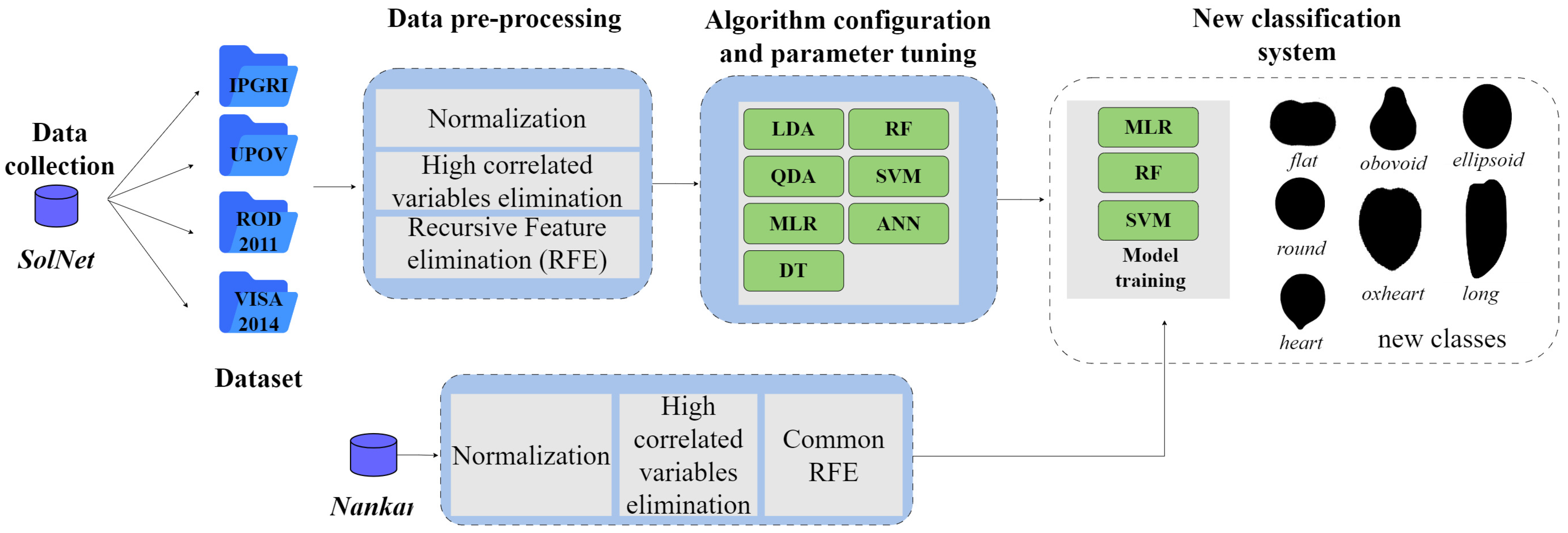 Machine Learning-Based Tomato Fruit Shape Classification System