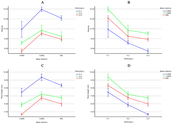 Construction of Optimal Regeneration System for Chrysanthemum ‘11-C-2 ...