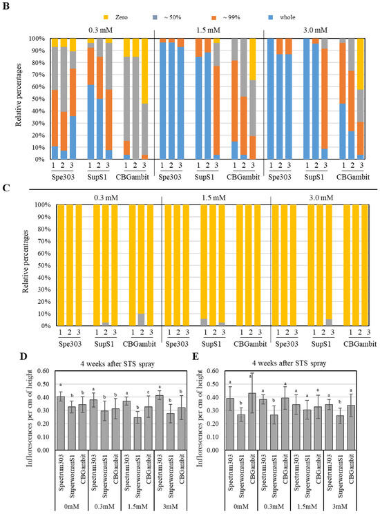 Characterization of Male Flower Induction by Silver Thiosulfate Foliar ...