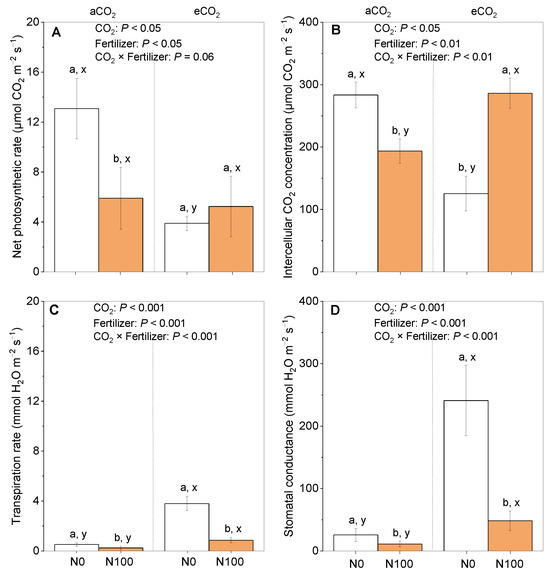 Plants | Free Full-Text | Impacts of Elevated CO2 and a Nitrogen Supply on the Growth of Faba ...