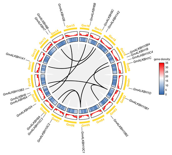 Genome-Wide Identification of the Soybean AlkB Homologue Gene Family ...