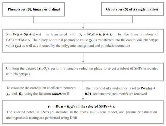 An Extended Application of the Fast Multi-Locus Ridge Regression ...