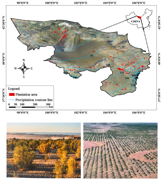 Assessment of the Restoration Potential of Forest Vegetation Coverage ...