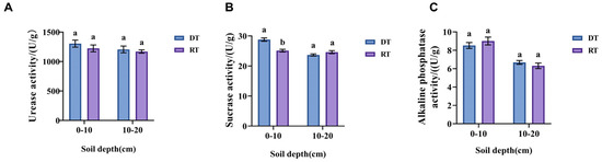 Effects of Rotary and Deep Tillage on Soil Environment and Melon Root Development