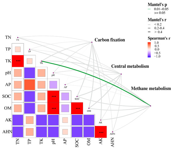 The Structural and Functional Responses of Rhizosphere Bacteria to ...