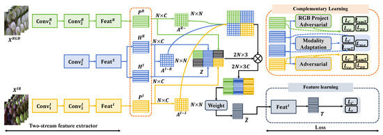 High-Performance Grape Disease Detection Method Using Multimodal Data and Parallel Activation ...