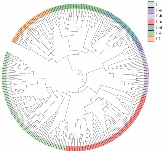 Genome-Wide Identification and Analysis of the WRKY Transcription ...