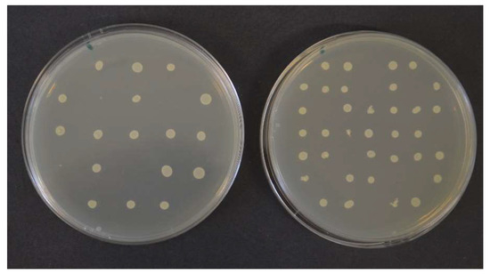Methods for Determination of Antimicrobial Activity of Essential Oils ...