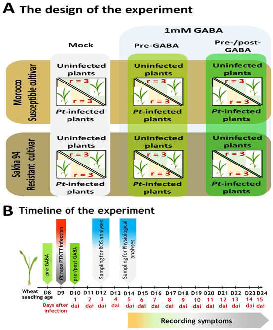 Gamma-Aminobutyric Acid (GABA) as a Defense Booster for Wheat against ...