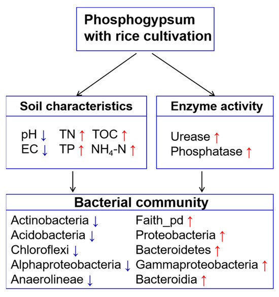 Phosphogypsum with Rice Cultivation Driven Saline-Alkali Soil ...