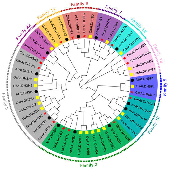 Genome-Wide Identification and Expression Analysis of the Melon ...