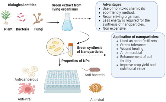 Titanium Dioxide Nanoparticle: A Comprehensive Review on Synthesis, Applications and Toxicity