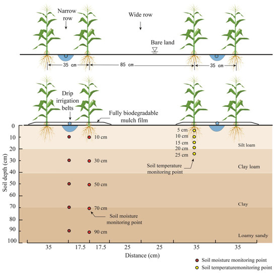 Simulation and Evaluation of Spring Maize Growth Under Drip Irrigation with Fully Biodegradable ...