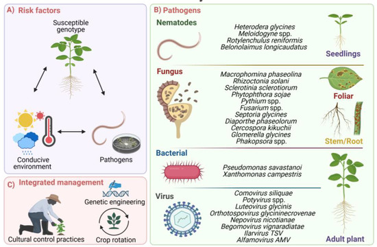 Advances in Soybean Genetic Improvement