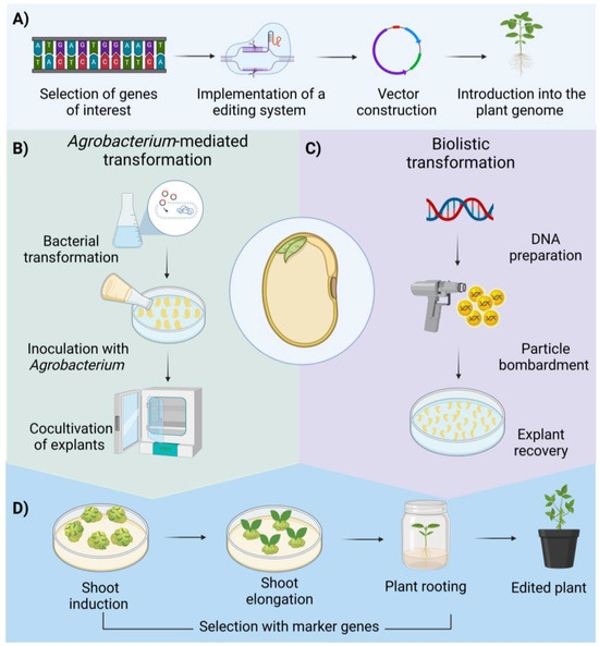 Advances in Soybean Genetic Improvement