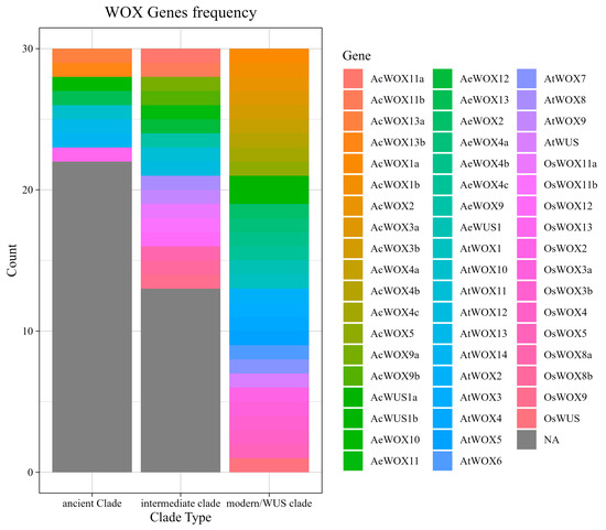 Plant Growth Regulators: An Overview of WOX Gene Family