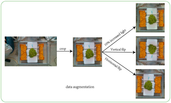 Multimodal Data Fusion for Precise Lettuce Phenotype Estimation Using ...