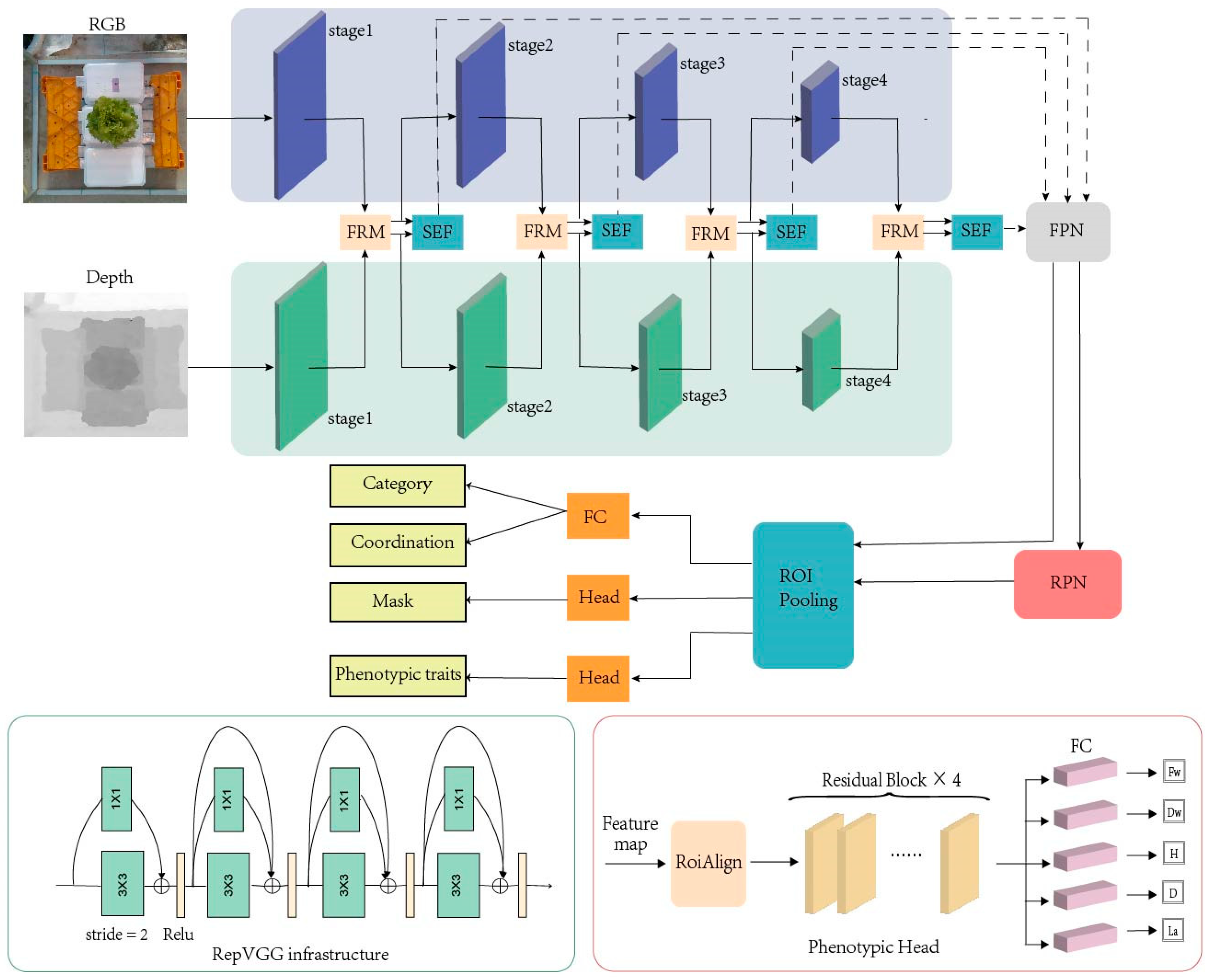 Multimodal Data Fusion for Precise Lettuce Phenotype Estimation Using Deep Learning Algorithms