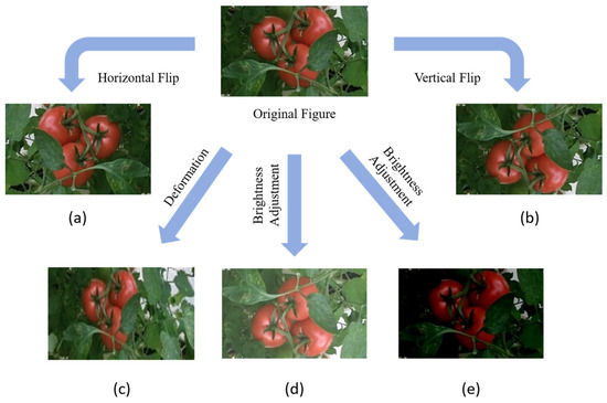 Ripe Tomato Detection Algorithm Based on Improved YOLOv9