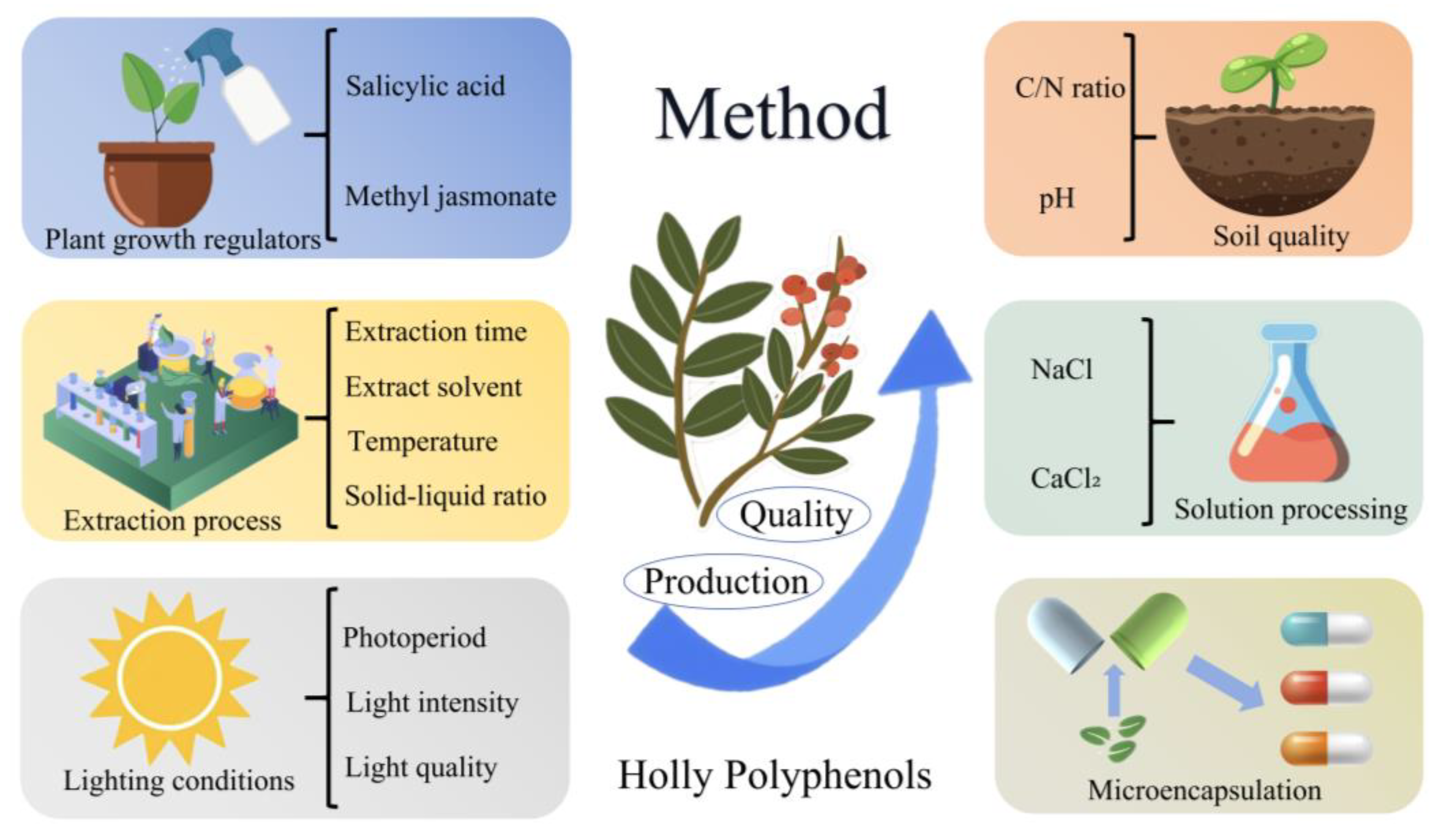The Applications of Plant Polyphenols: Implications for the Development ...